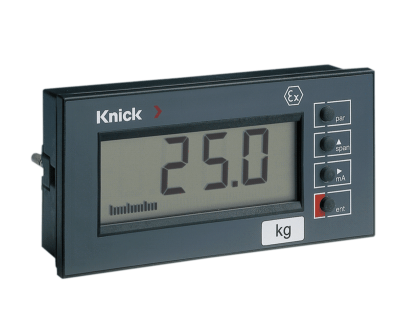 830XS2 Digital Indicator | Panel-mount Housing 144 x 72 mm ...